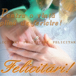 Felicitari animate de nunta - Felicitarea Felicitari